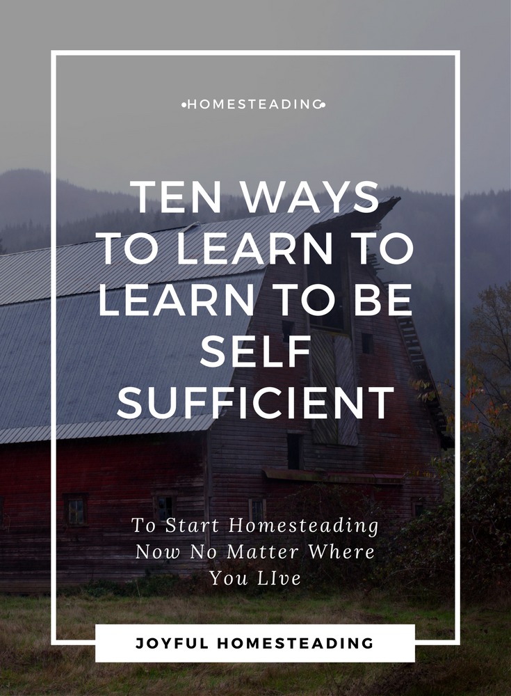 Learning To Be Self Sufficient Ten Steps To Pursuing Homesteading Now learning-to-be-self-sufficient-ten-steps-to-pursuing-homesteading-now
